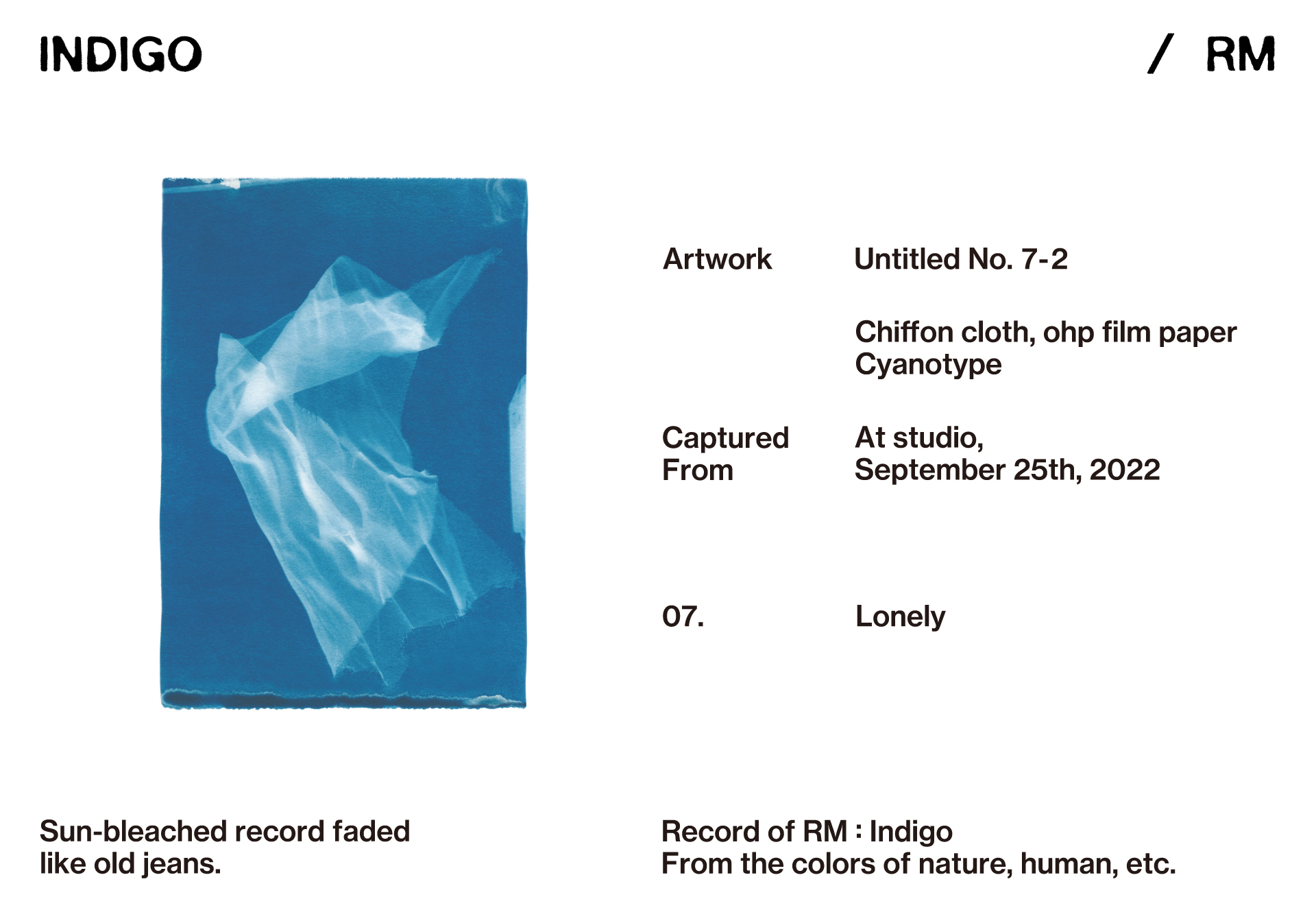Indigo | RM | BIGHIT MUSIC